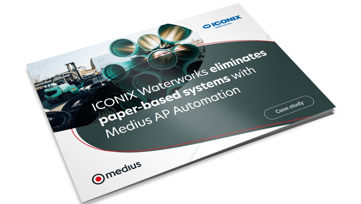 ICONIX Waterworks Case Study | Medius